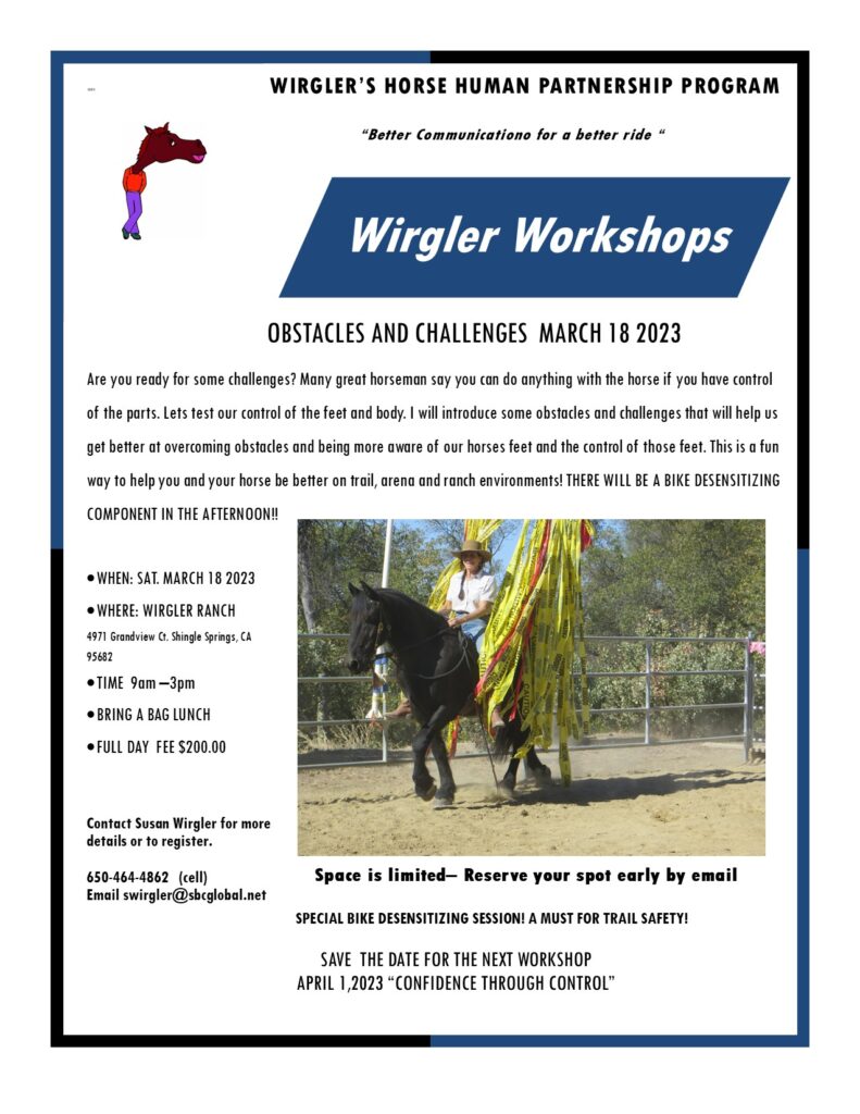 Wirgler Workshops “OBSTACLES AND CHALLEGES” - Susan Wirgler